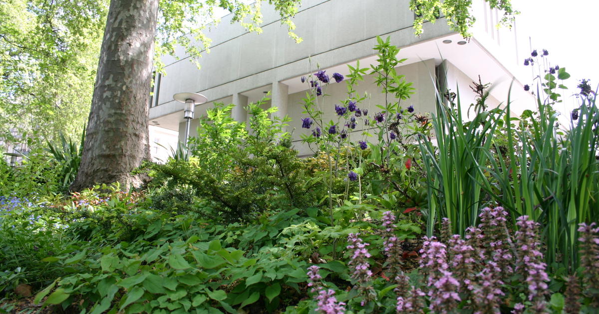 RCP Garden of medicinal plants | RCP